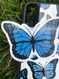 butterfly sticker waterproof – Hailey's Stickers
